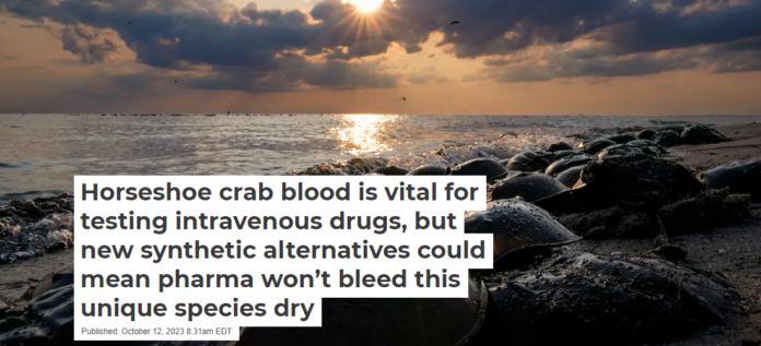Horseshoe crab blood is vital for testing intravenous drugs, but new ...