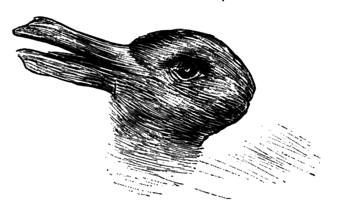 Animals could help reveal why humans fall for illusions | Life & News