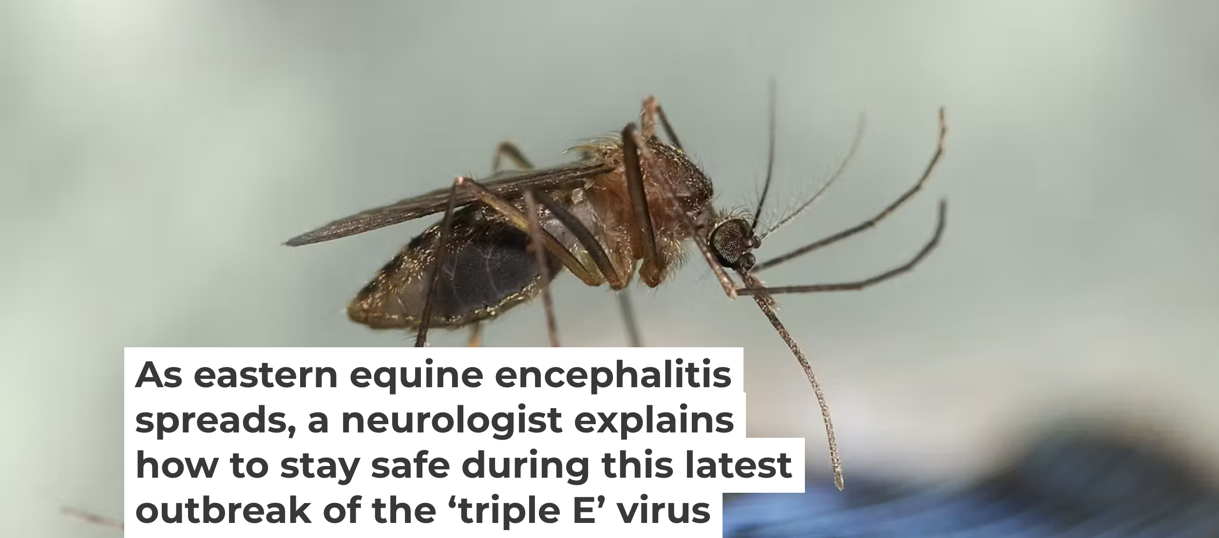 As eastern equine encephalitis spreads, a neurologist explains how to ...