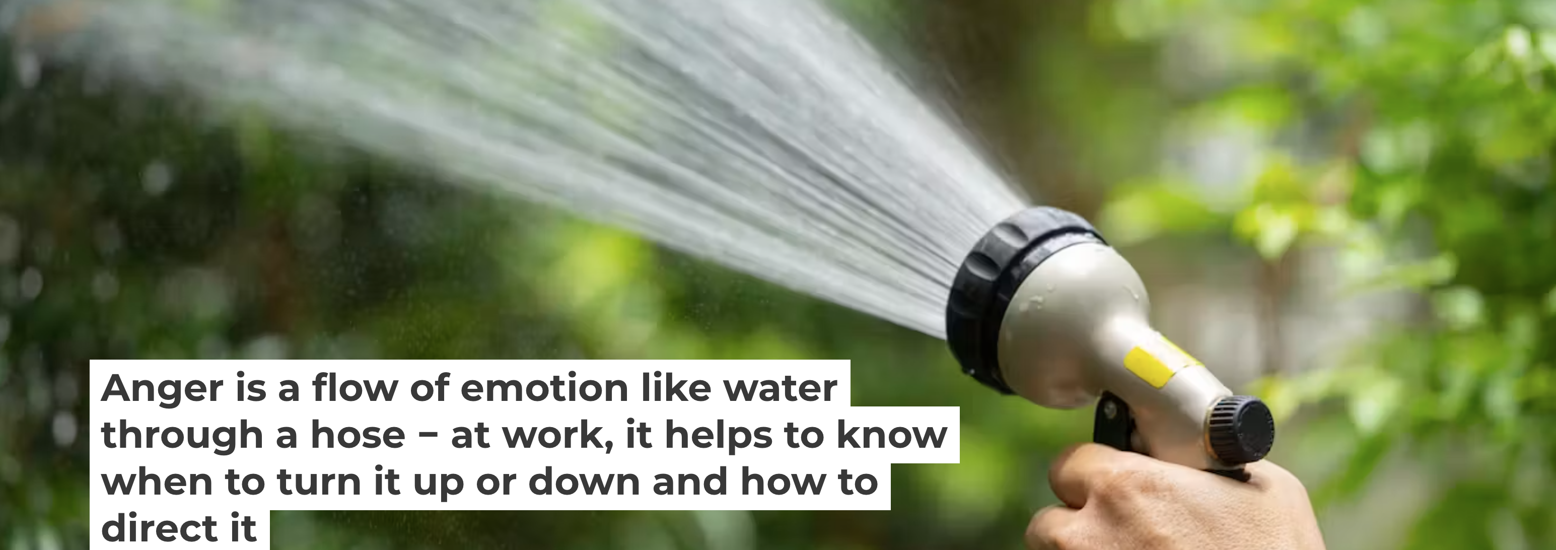 Anger is a flow of emotion like water through a hose − at work, it ...