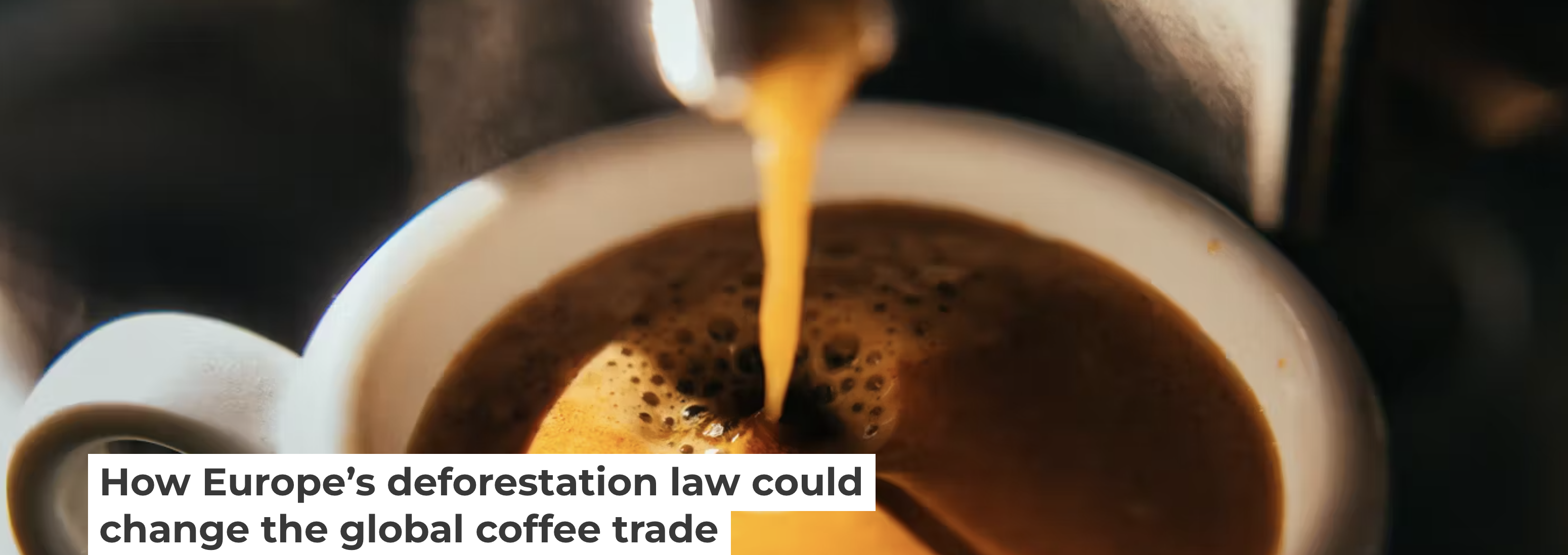 How Europe’s deforestation law could change the global coffee trade ...