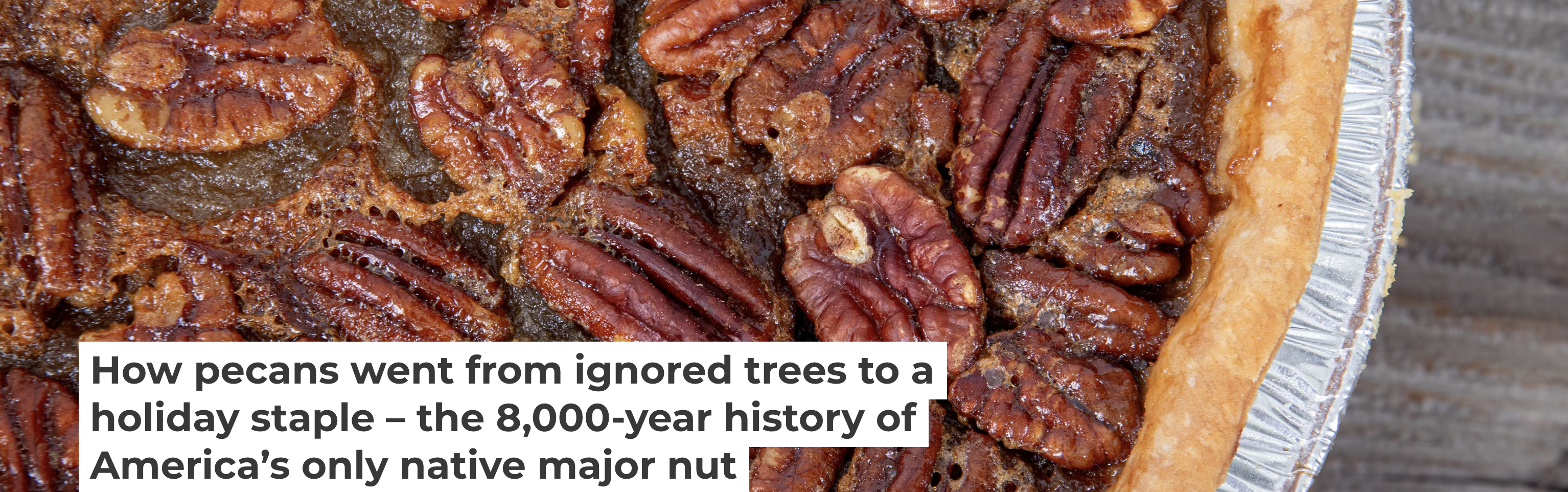 How pecans went from ignored trees to a holiday staple – the 8,000-year ...